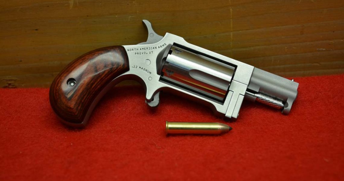North American Arms "Sidewinder" 22 Mag | Idaho Gun Broker